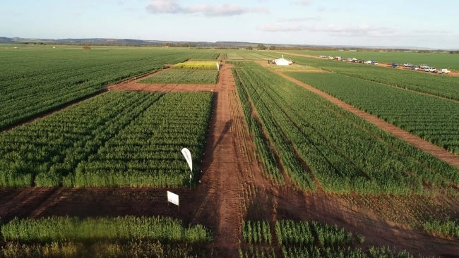 Isoflex Active Overview | FMC Corp