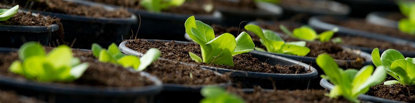 Biologicals | FMC Corp