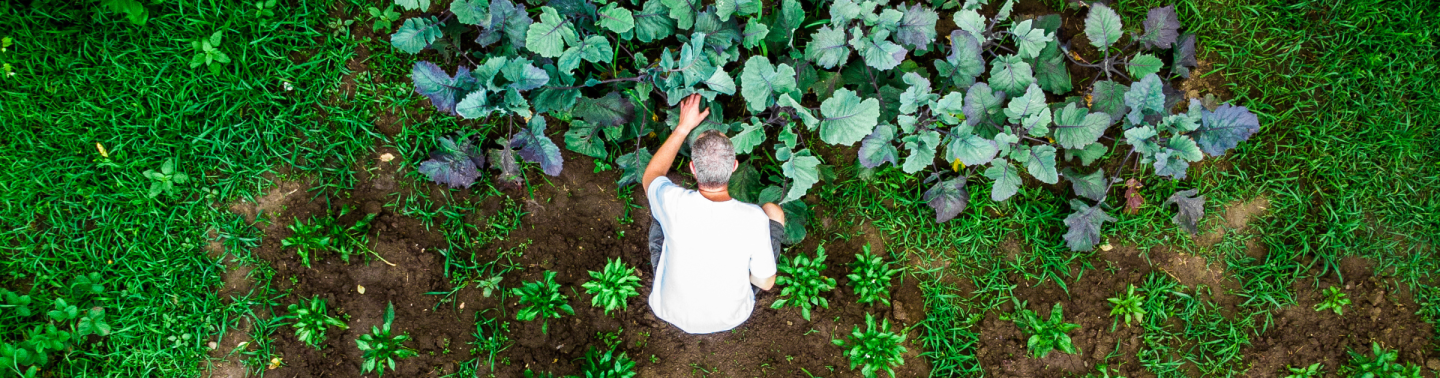 Brand Protection | FMC Corp